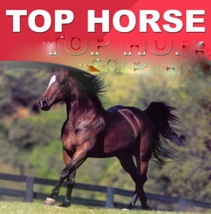 Tom Console’s Top Horse + Len’s In The Groove at a Discount! – RPM ...