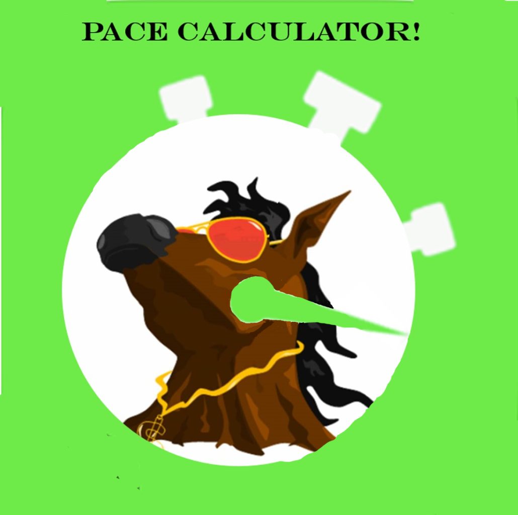 Ready to GO!!!! Super Exciting New Software Technology!! Denny Nash ...