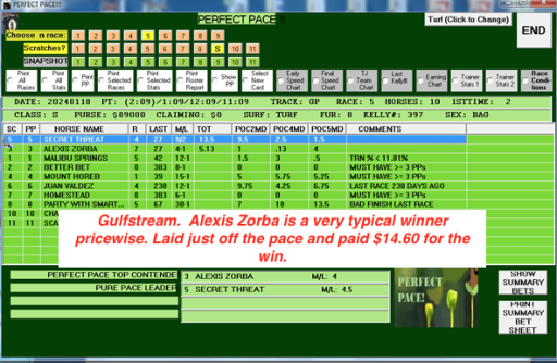 New!! Perfect Pace! Combining Dynamic Pace w/Passive Pace + Sartin ...